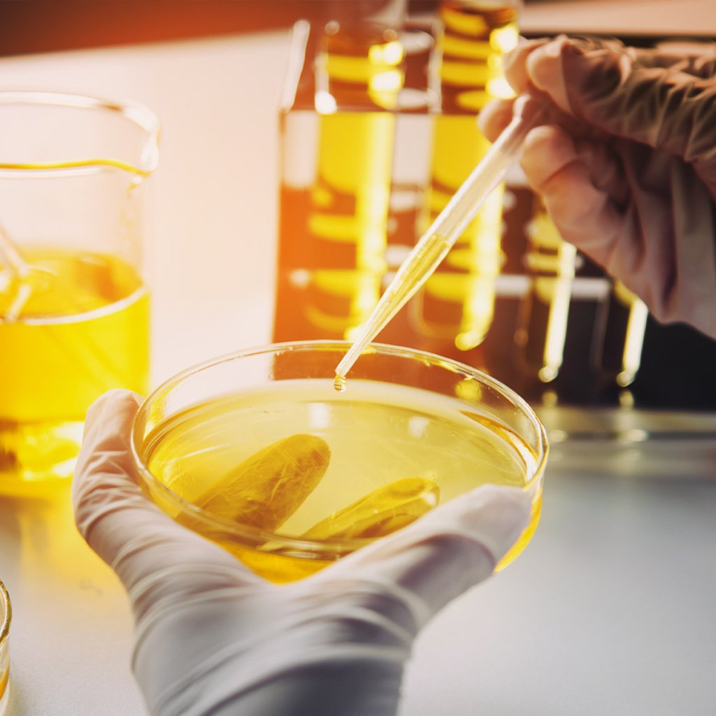 Our History – Lotus Oil